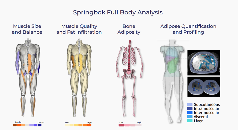 Springbok Analytics Launches Precision Body Comp Analysis